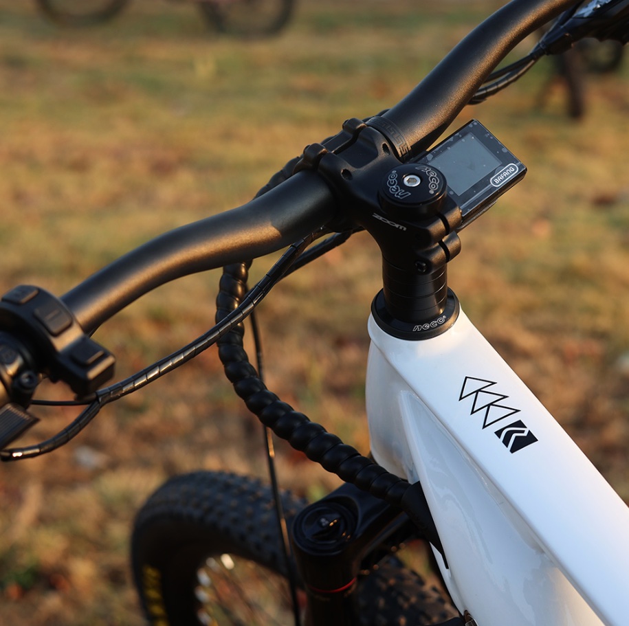 Frey Evolve Neo: Vollgefederte E-Bikes mit 100 km Reichweite und 40 km ...