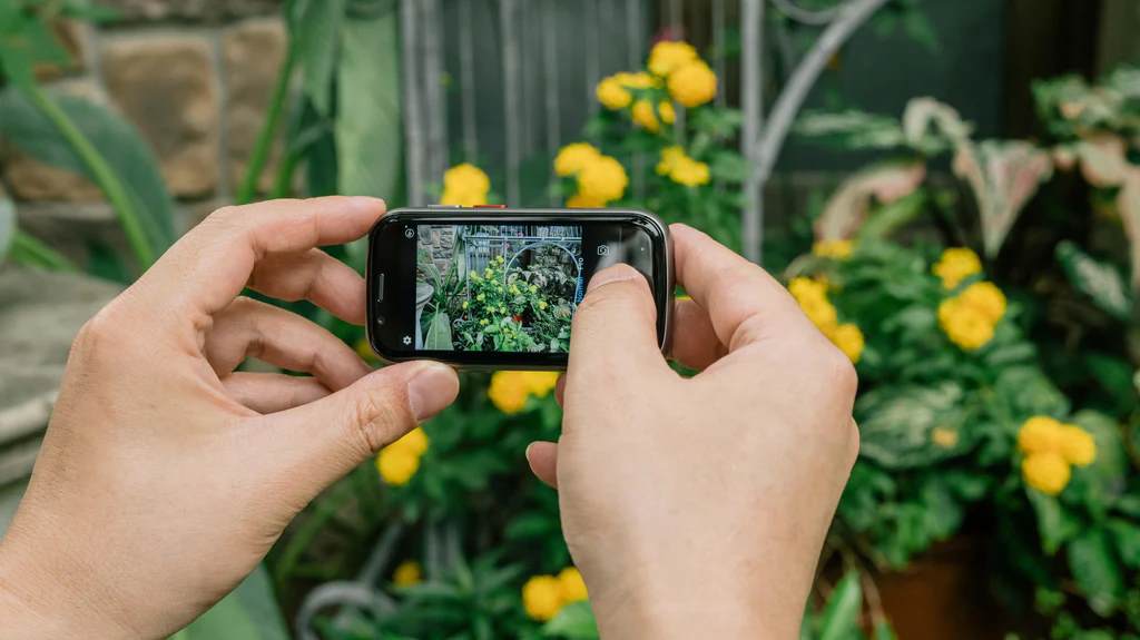 Jelly 2E: Das ultrakompakte Smartphone mit Android 12, Dual-SIM und ...