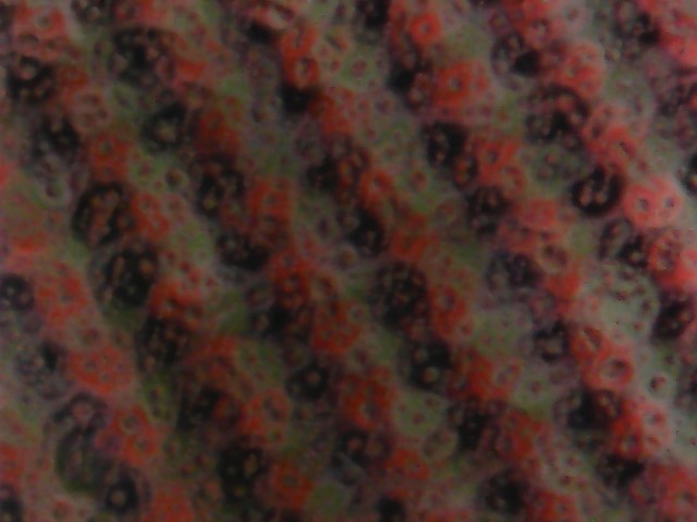 Test Tolino Vision Color (Kobo Libra Colour) – Stiftsupport beim ...