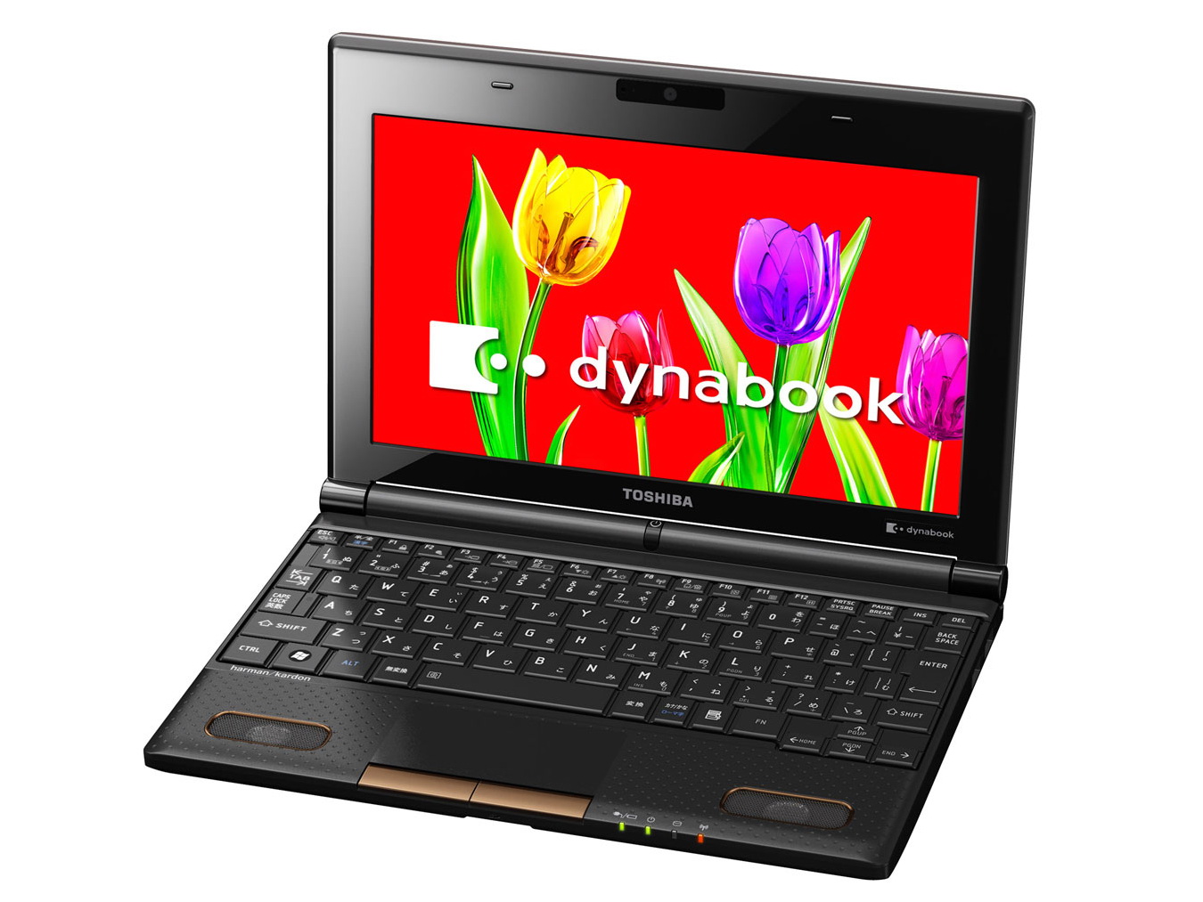 Toshiba: Cedar-Trail-Netbook Dynabook N301 mit Atom N2800 ...