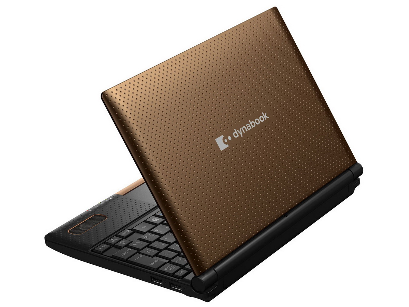 Toshiba: Cedar-Trail-Netbook Dynabook N301 mit Atom N2800 ...