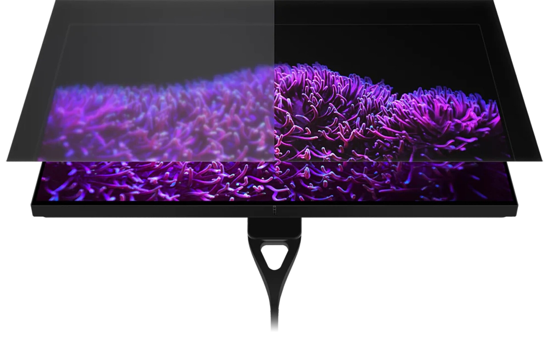 Dough Spectrum 4K 144 Hz: Weltweit erster 27 Zoll Glossy-4K-Gaming-Monitor aus der Community ...