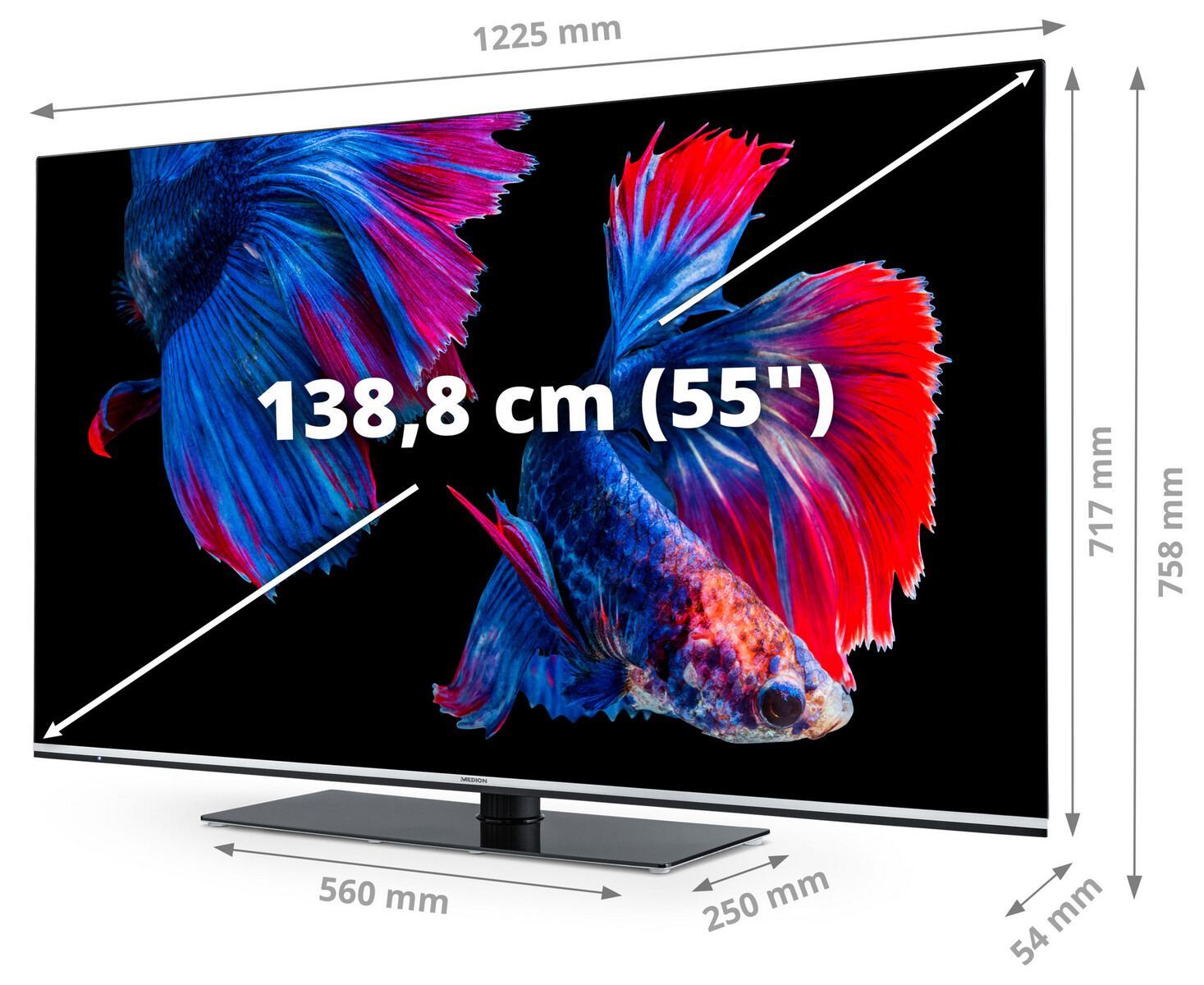 Medion: Neuer 4K OLED Smart-TV Life X15564 mit 55 Zoll und 100 Hz ...
